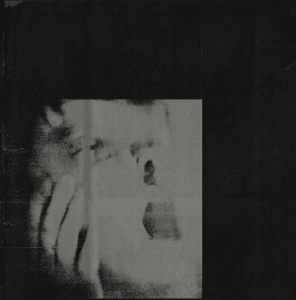 DITZ Announce New Album Never Exhale and Huge 2025 Tour - Punkinfocus